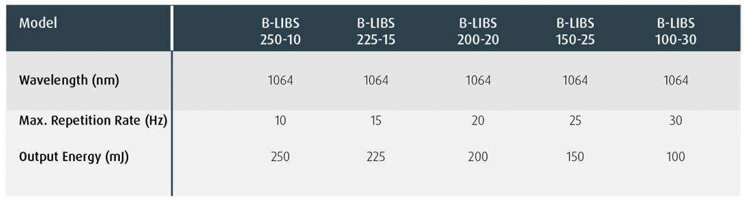 Bernoulli LIBS - Litron
